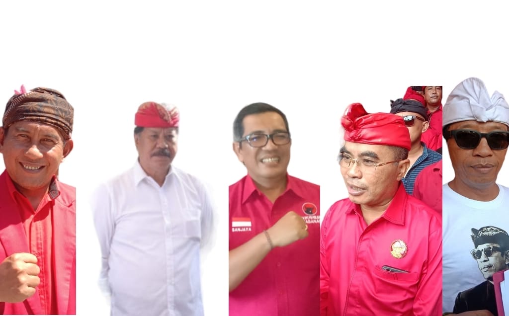 Lima Kader Terbaik Berebut Rekomendasi di DPC PDI Perjuangan Tabanan ...